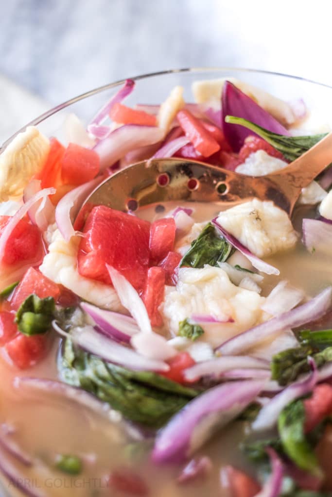 Watermelon Peruvian Ceviche Recipe - April Golightly