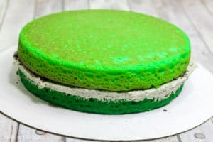 Ultimate Mint Oreo Cake Recipe - Birthdays or Any Day!