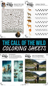 The Call of the Wild Activity Sheets