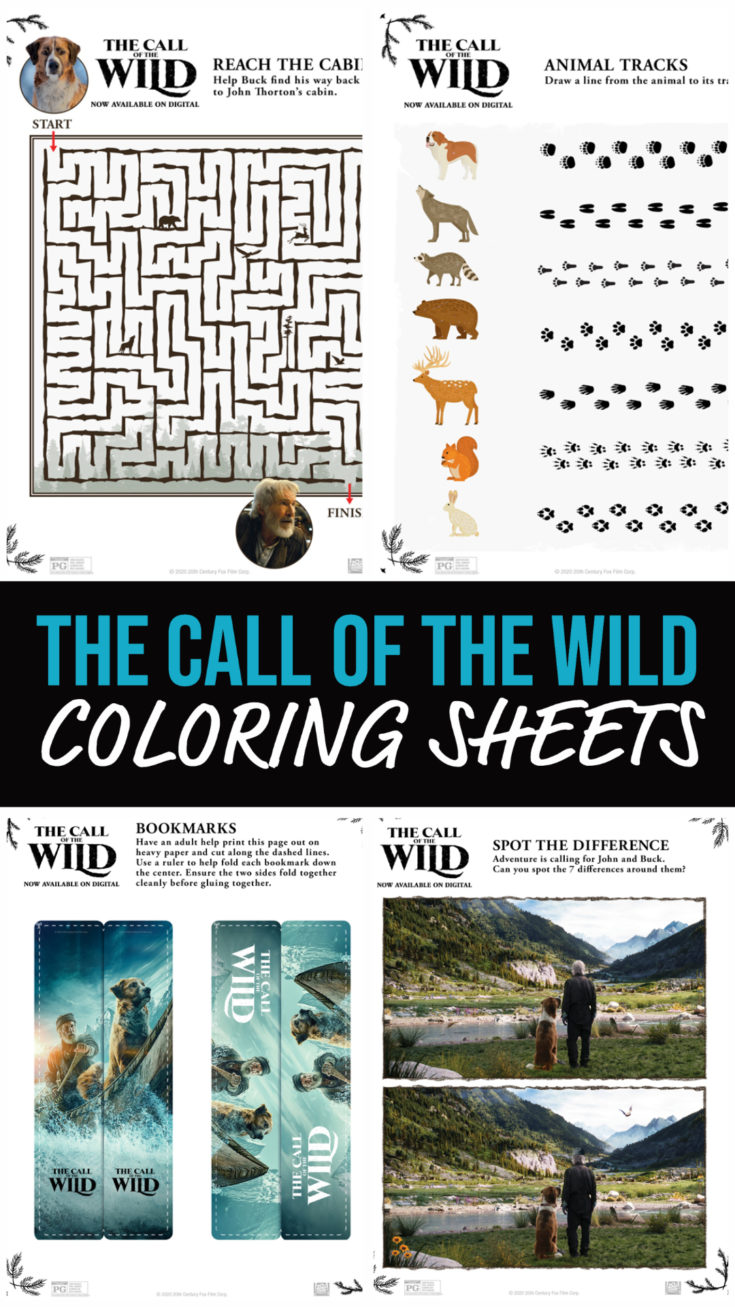 The Call of the Wild Activity Sheets